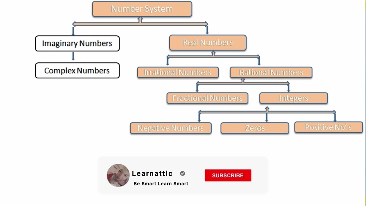 Represent The Number System With The Help Of A Flow Chart And Write